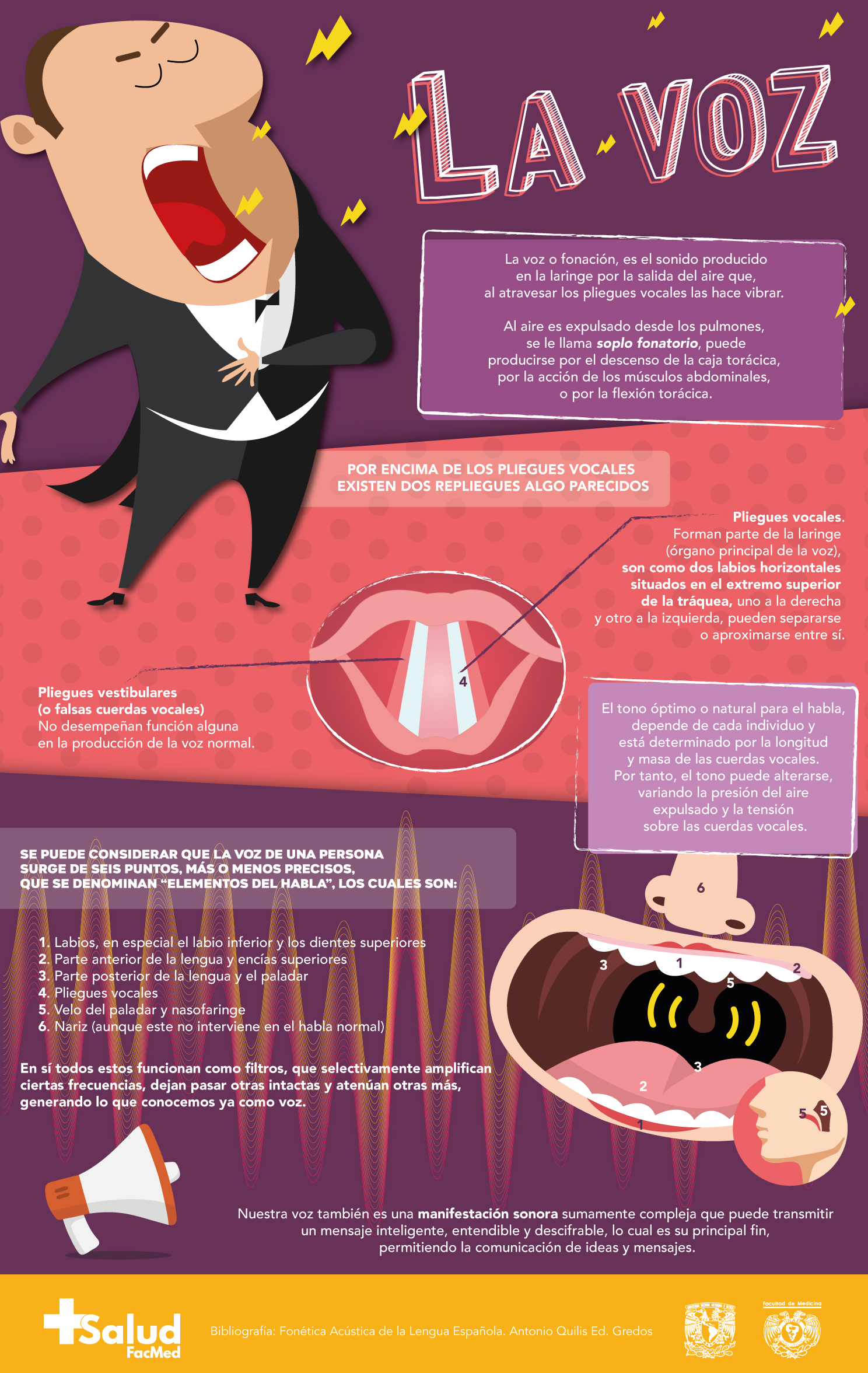 Así es como se genera la voz - +Salud FacMed